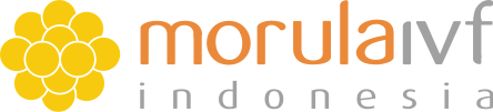 Treatment for Fertility Problems - Morula IVF Indonesia